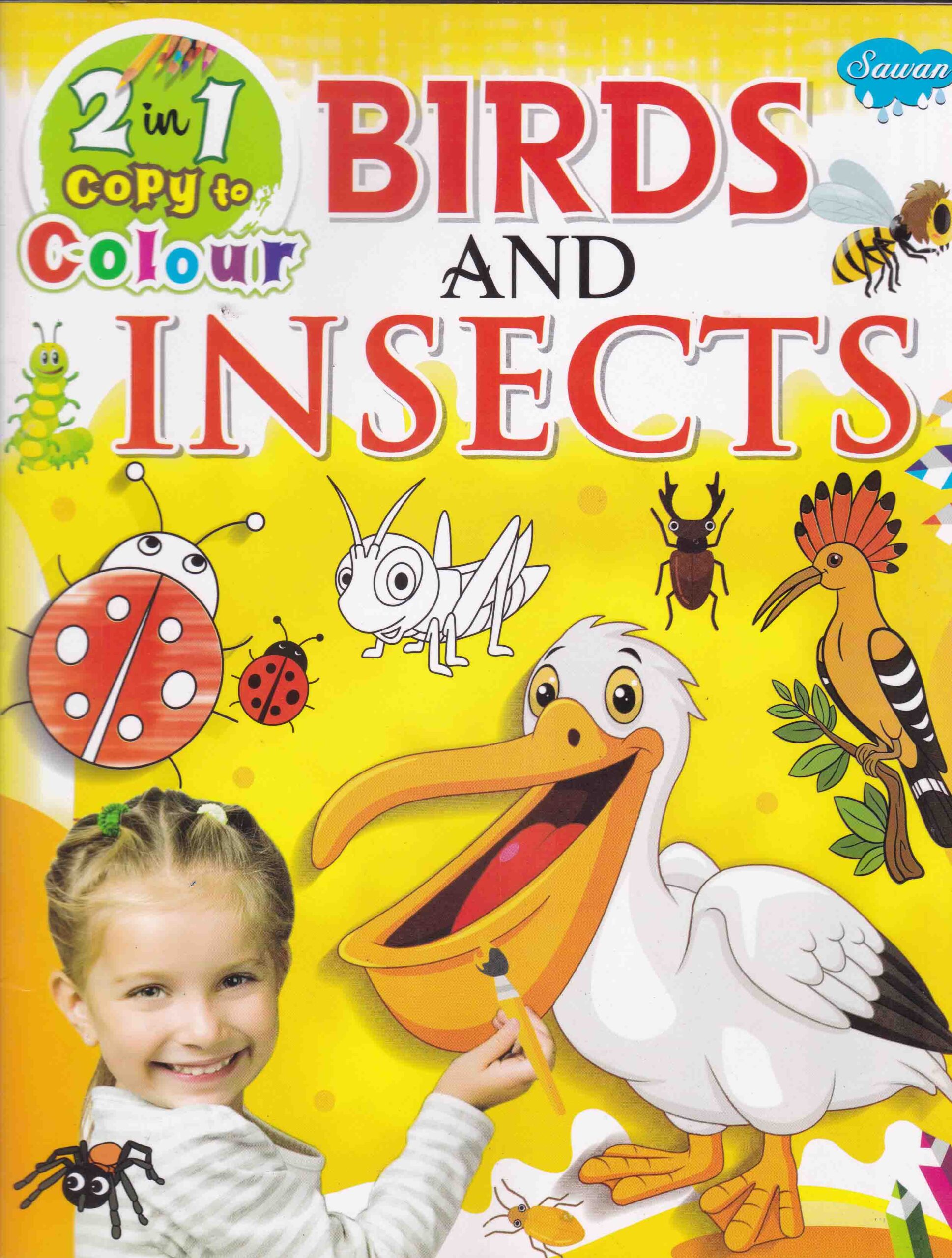Birds And Insects Use Colors To Attract